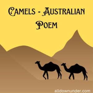 Camels - Australian Poem - All Down Under